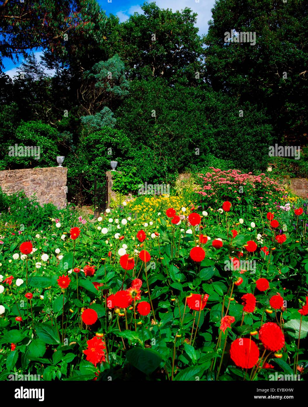 Walled potager hi-res stock photography and images - Alamy