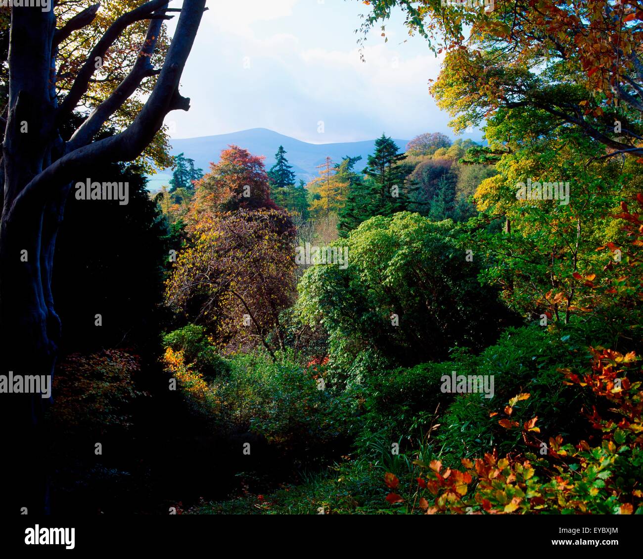 Powerscourt Estate, Co Wicklow, Ireland; 18Th Century Estate At The ...