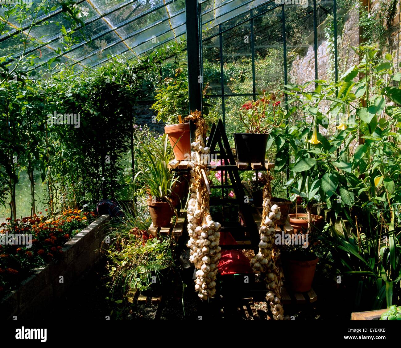Creagh, Skibereen, Co Cork, Ireland; Glasshouse In A Walled Garden ...