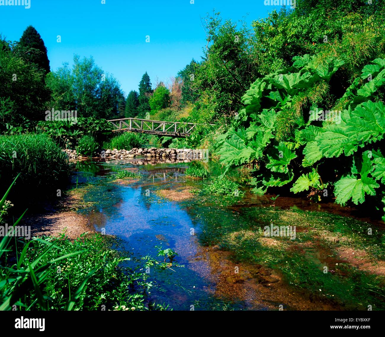 Annes Grove Gardens, Co Cork, Ireland; Rustic Bridge Over The River ...