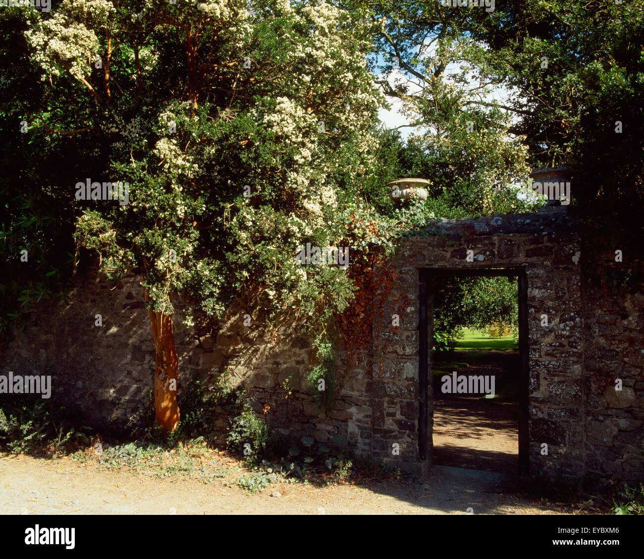 Glin Castle, Co Limerick, Ireland; 18Th Century Castle Garden With A ...