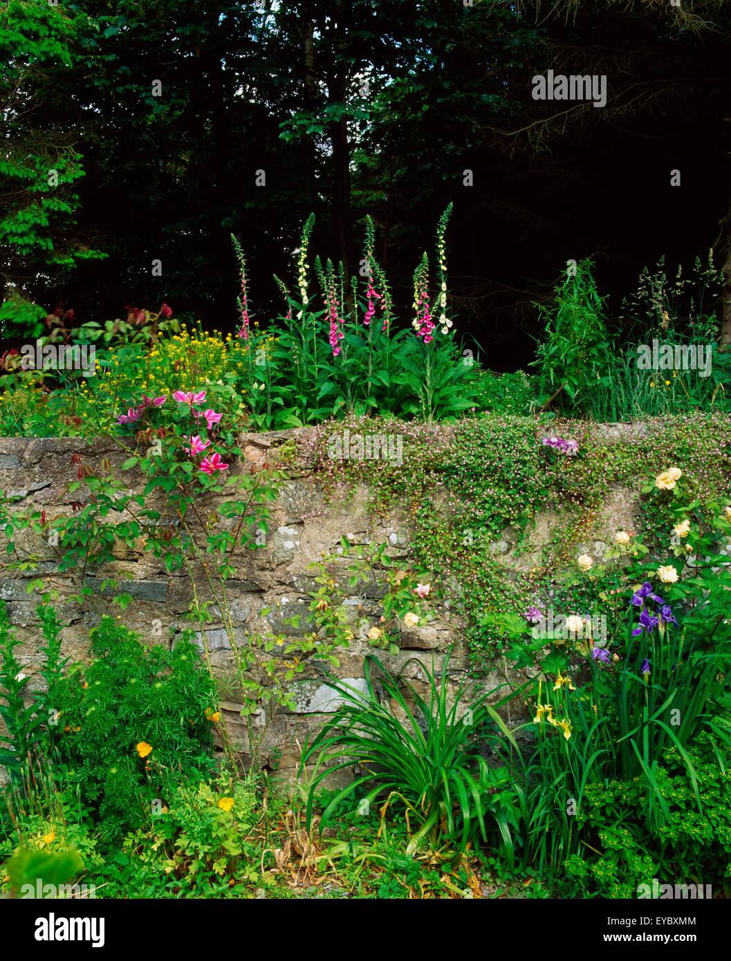 Keady hi-res stock photography and images - Alamy