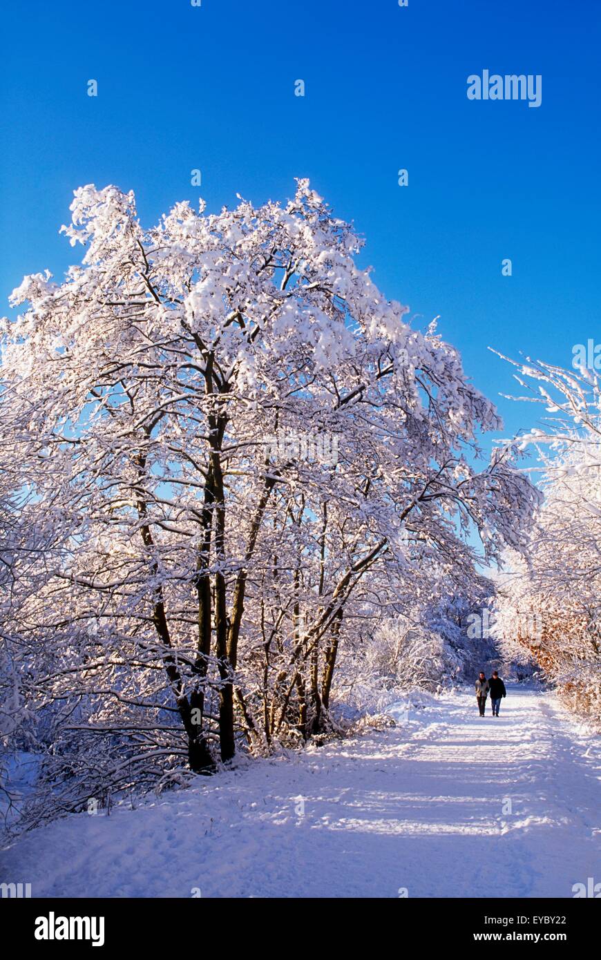 Belvoir park belfast hi-res stock photography and images - Alamy