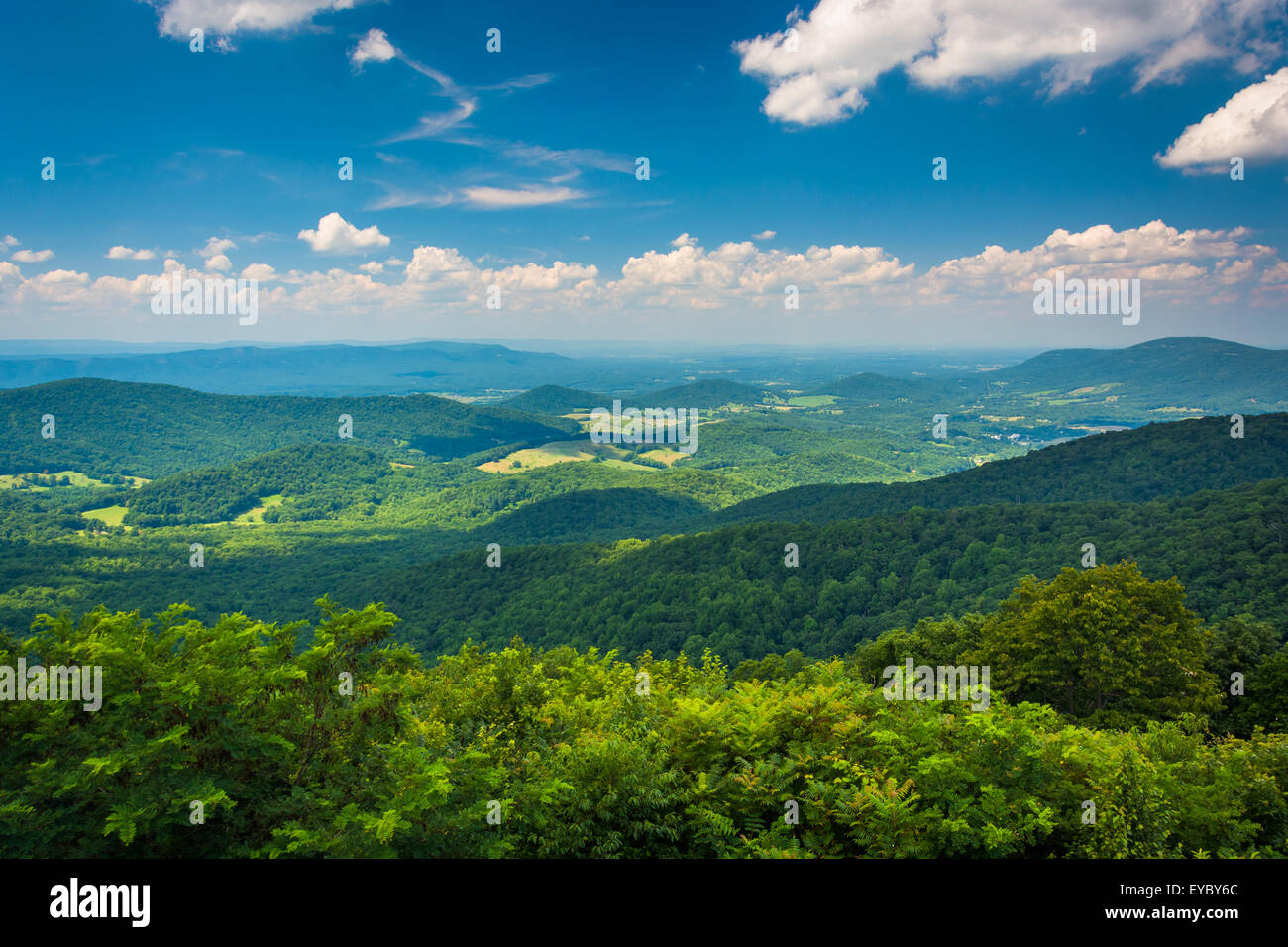 View of the Blue Ridge Mountains and Shenandoah Valley from Skyline ...
