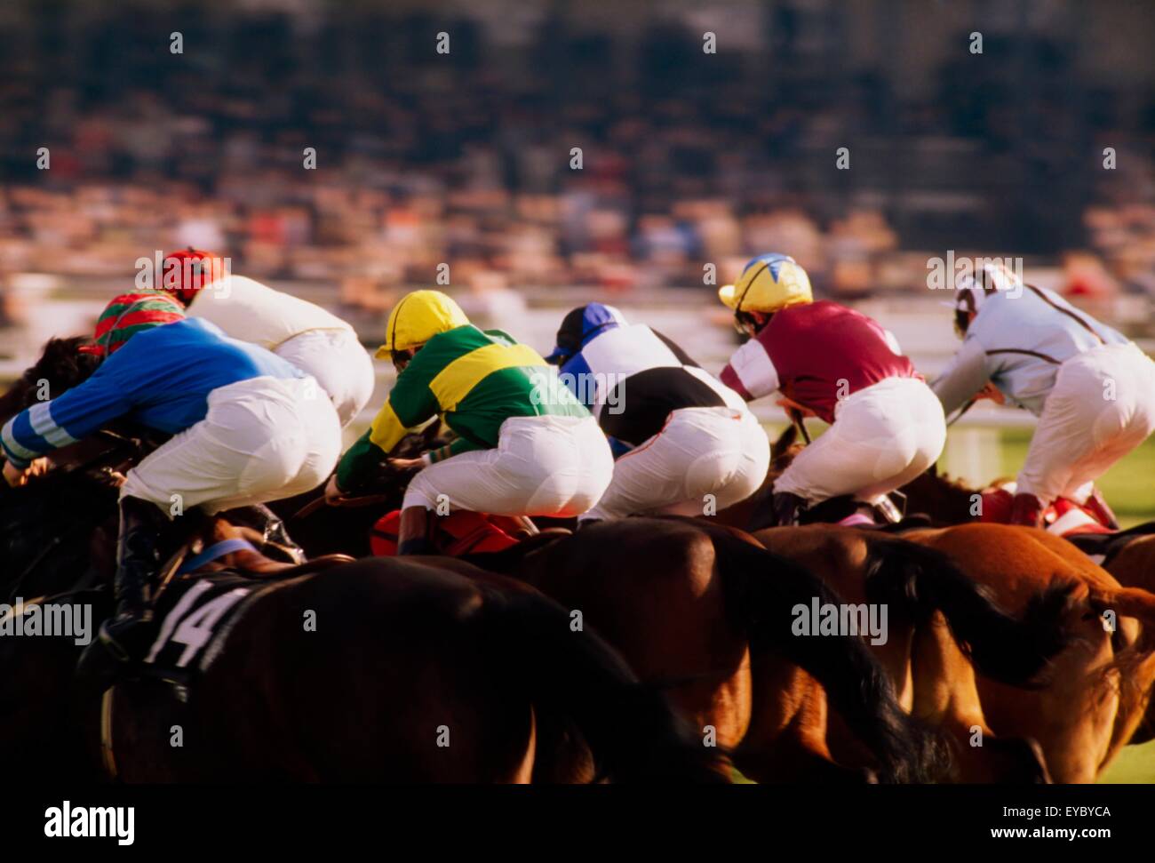 Phoenix park dublin racing hi-res stock photography and images - Alamy