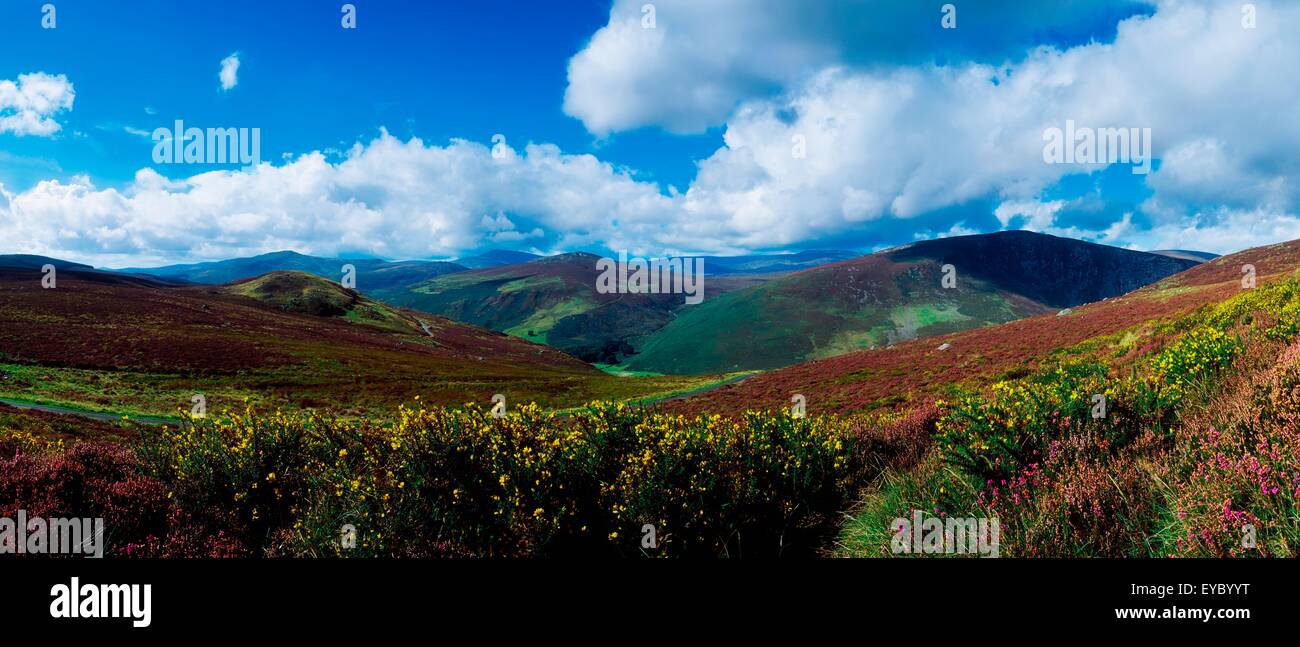 Country Road, Near Luggala Mountain, Co Wicklow, Ireland Stock Photo ...