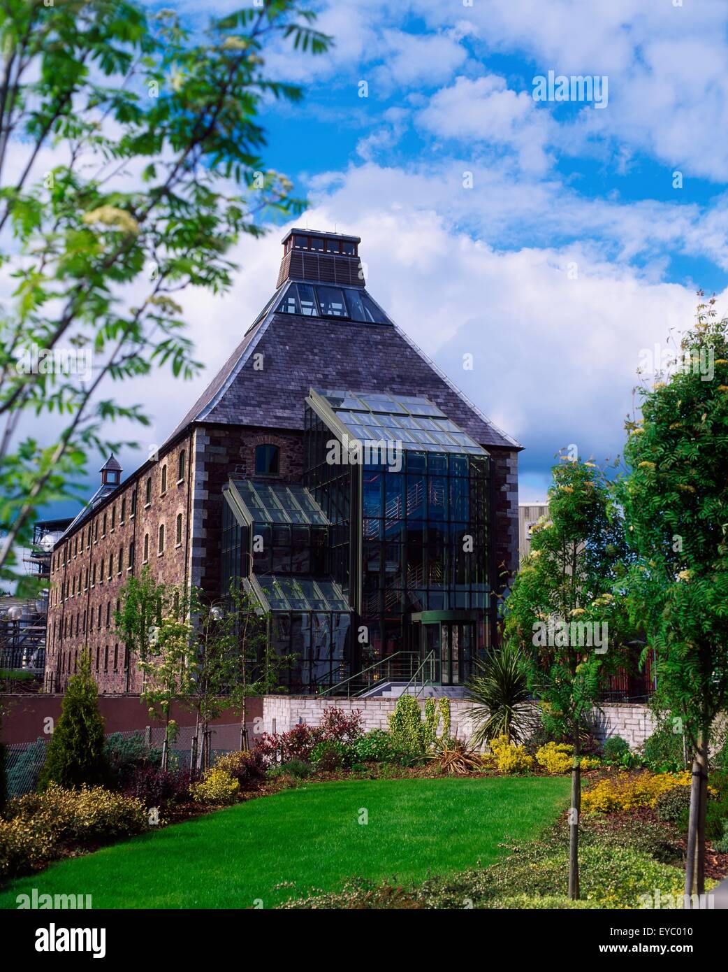 Murphy's brewery hi-res stock photography and images - Alamy