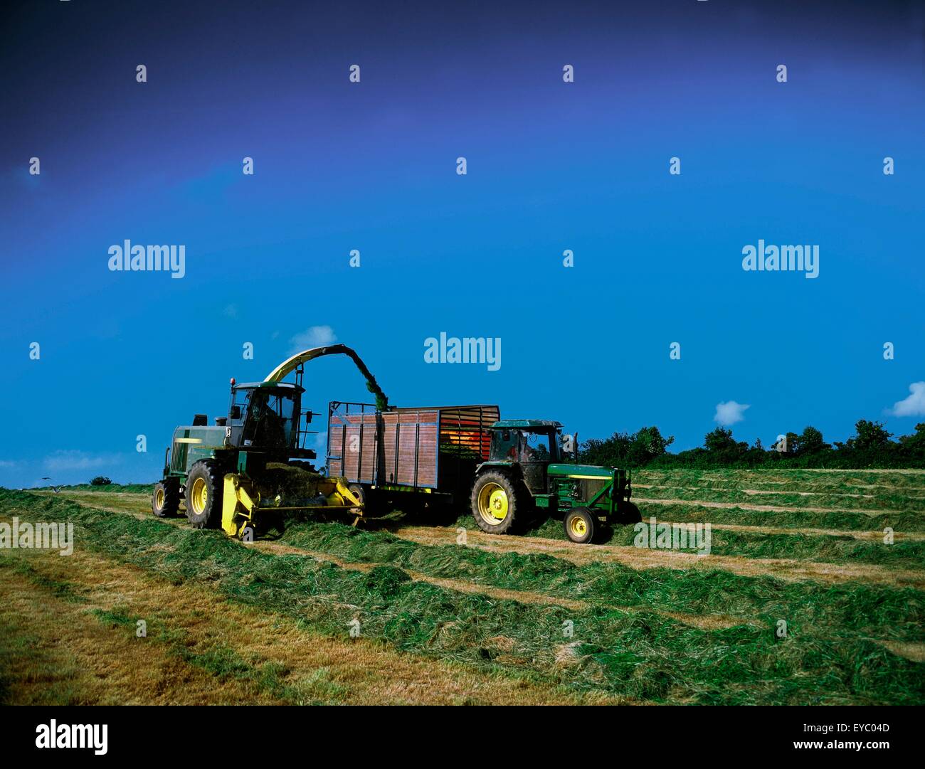 Co Cork, Ireland; Silage Making Stock Photo - Alamy