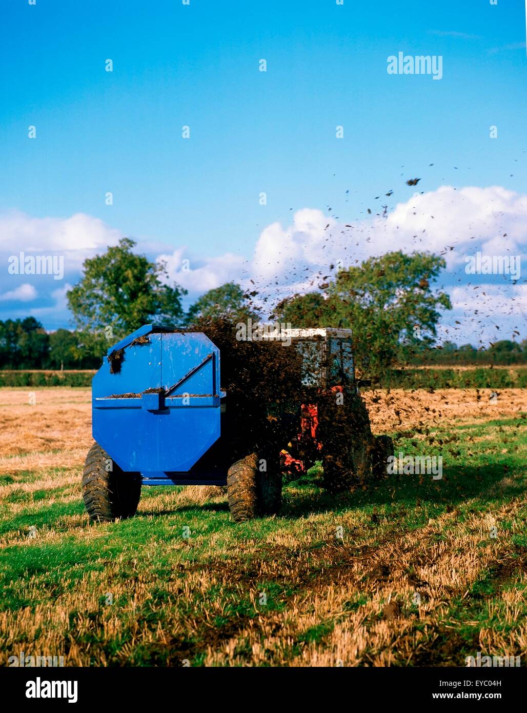 Muck Spreading; Tractor Spreading Muck On A Field Stock Photo - Alamy