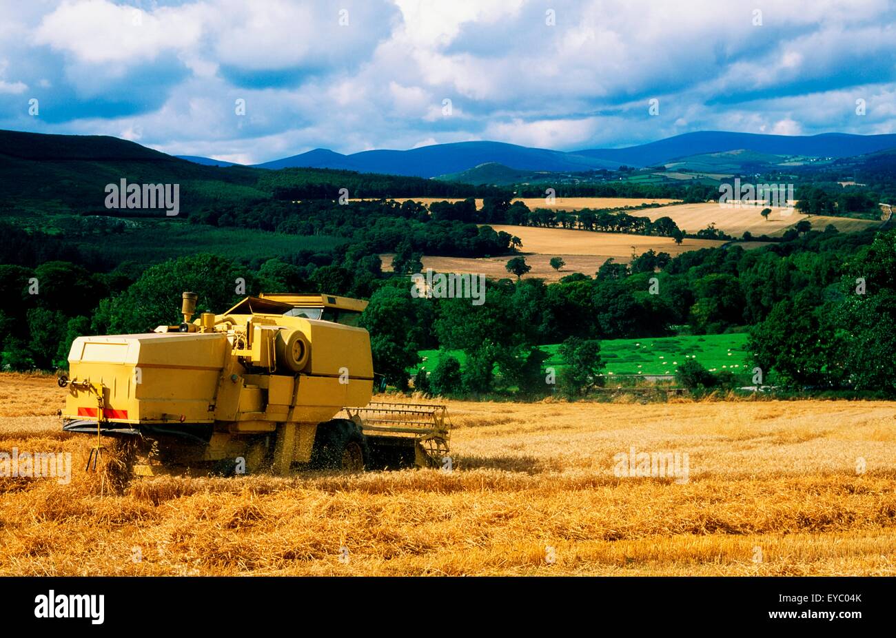 Co Wicklow, Ireland; Combine Harvesting Stock Photo - Alamy