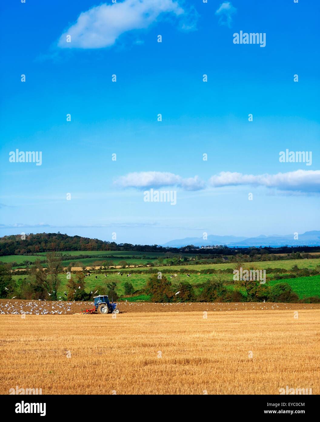 Slane co meath ireland hi-res stock photography and images - Alamy