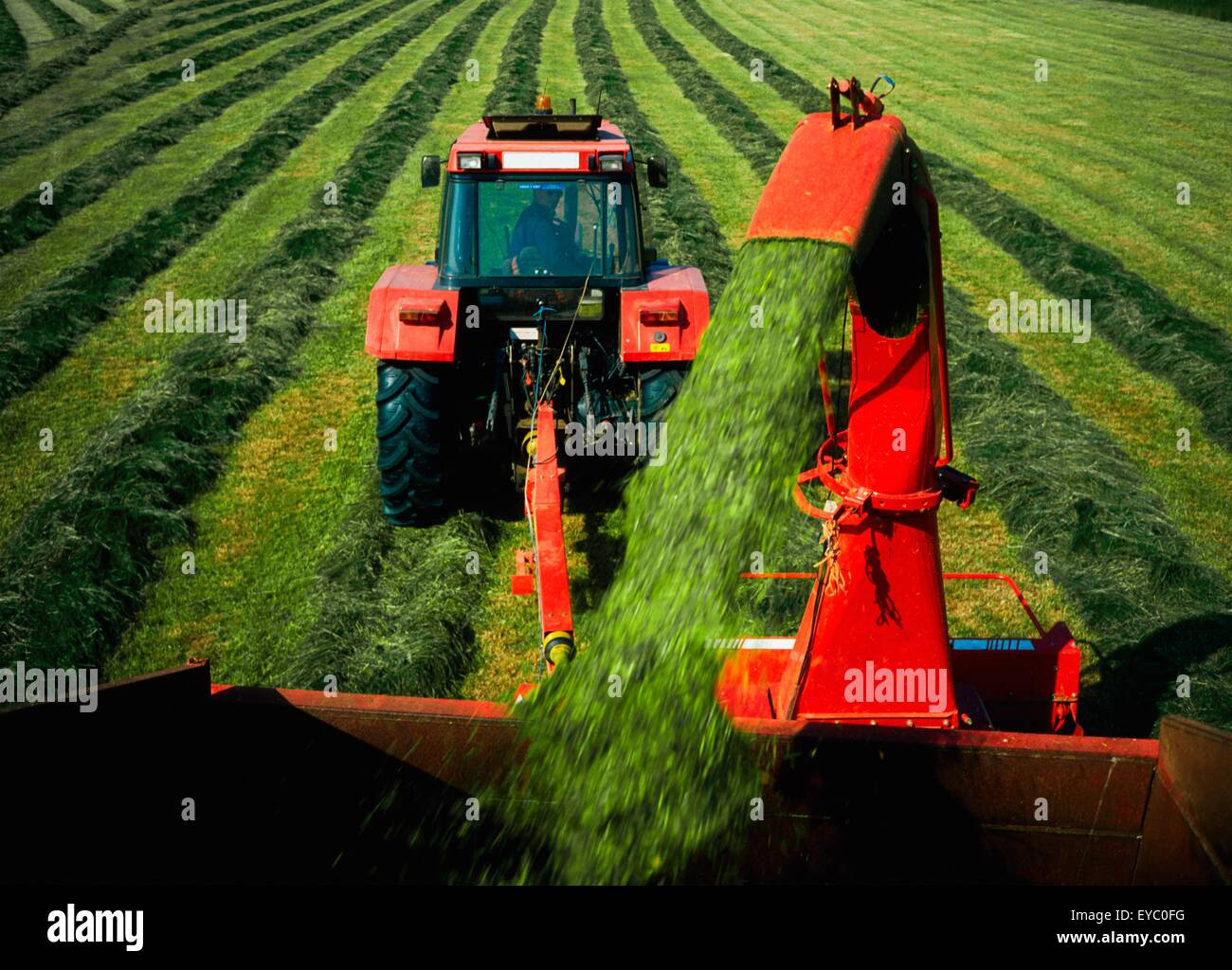 Agriculture, Silage Collecting, Ireland Stock Photo - Alamy