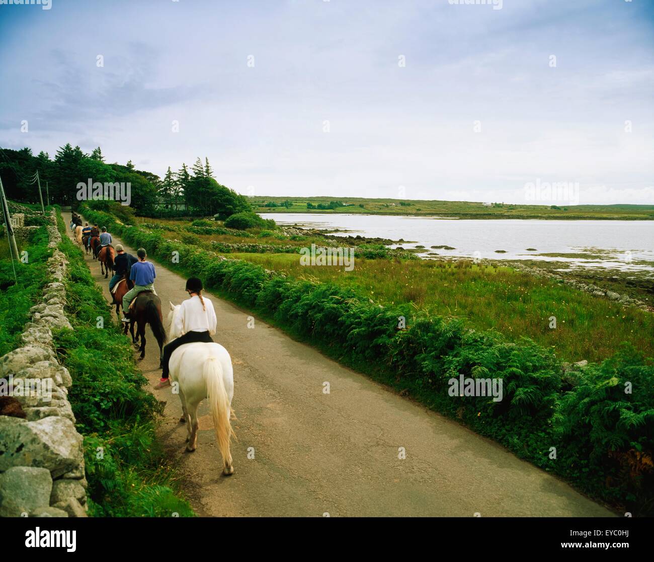 Pony Trekking, Connemara, Ireland Stock Photo - Alamy