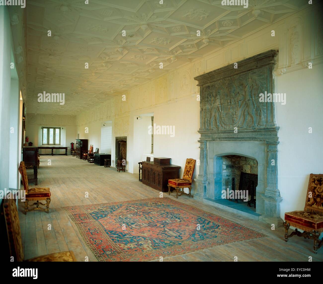 Manor House, Ormonde Castle, Co Tipperary, Ireland Stock Photo - Alamy