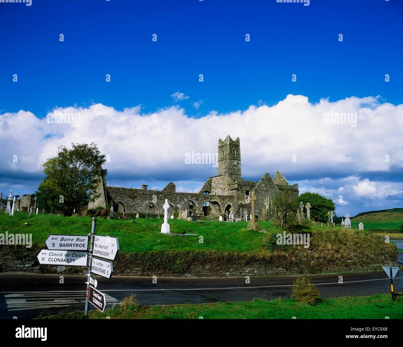 Timoleague Abbey, Co Cork, Ireland; 13Th Century Abbey Stock Photo - Alamy