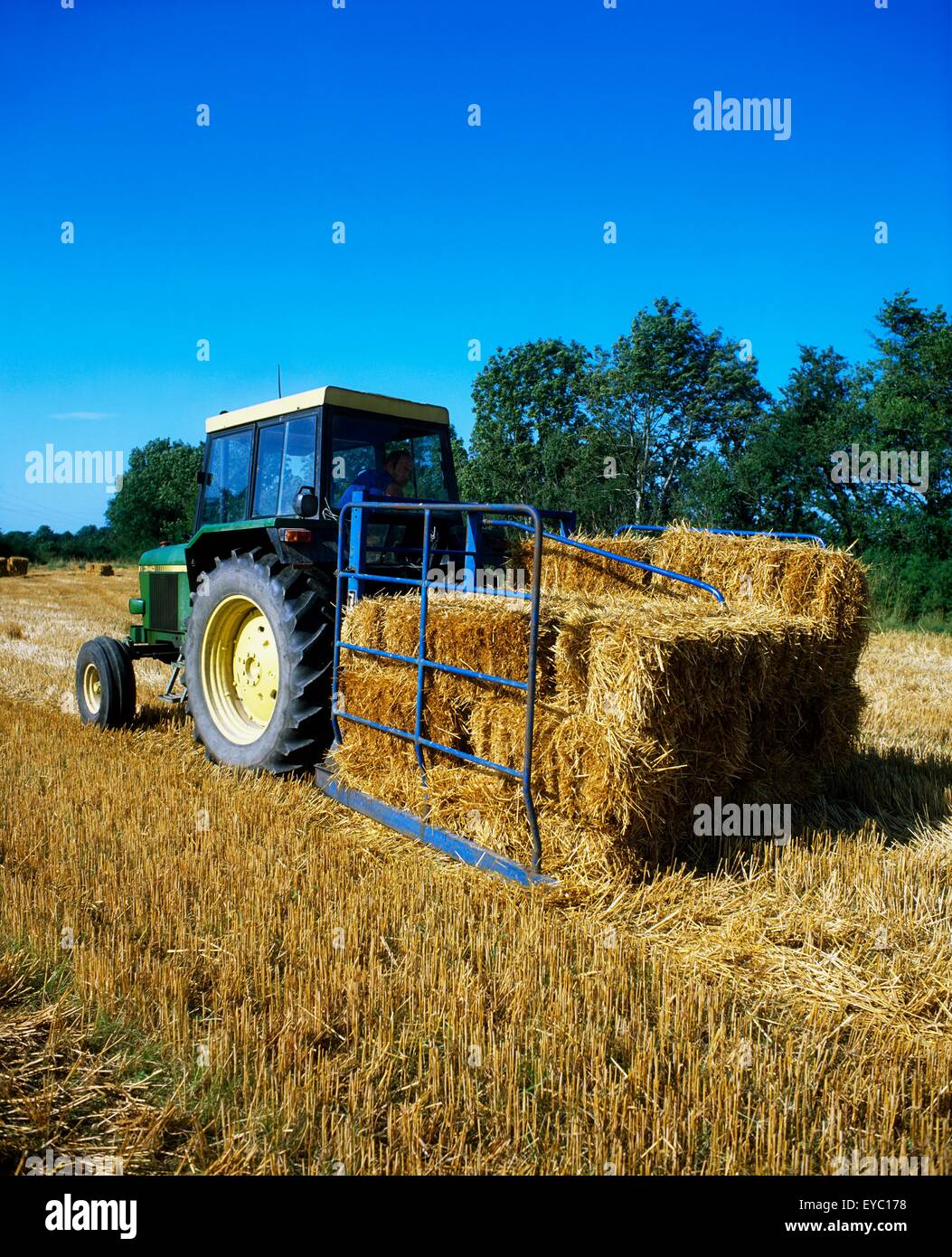 Co Kildare, Ireland; Collecting Straw Stock Photo - Alamy