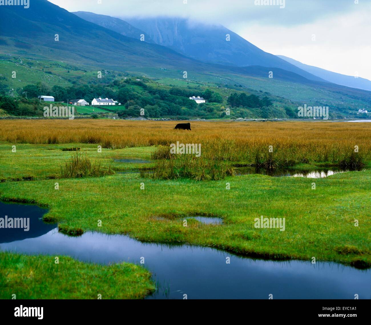 Croagh Patrick, Co Mayo, Ireland Stock Photo - Alamy