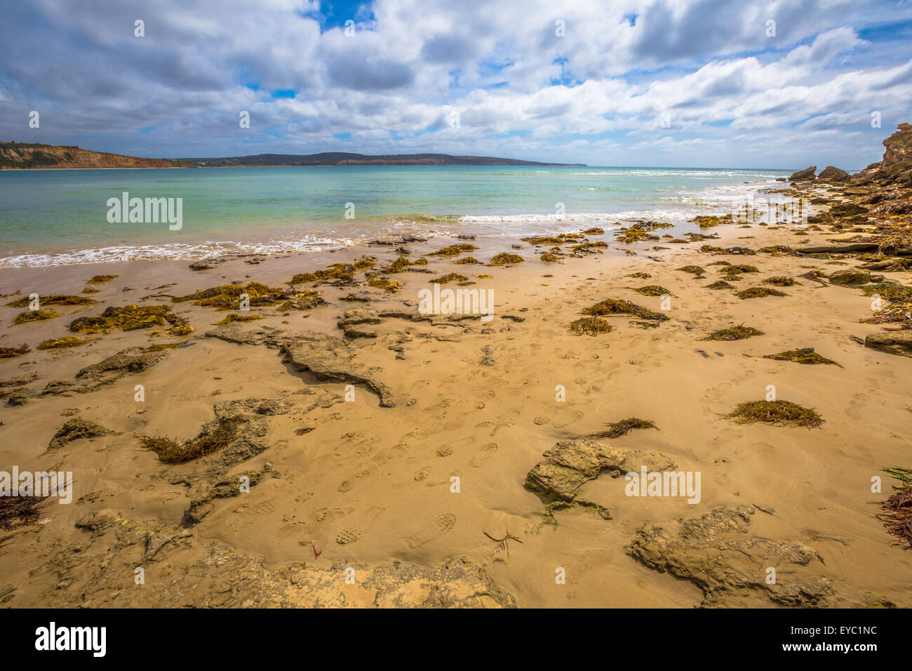 Roadknight Point Beach Victoria Stock Photo - Alamy