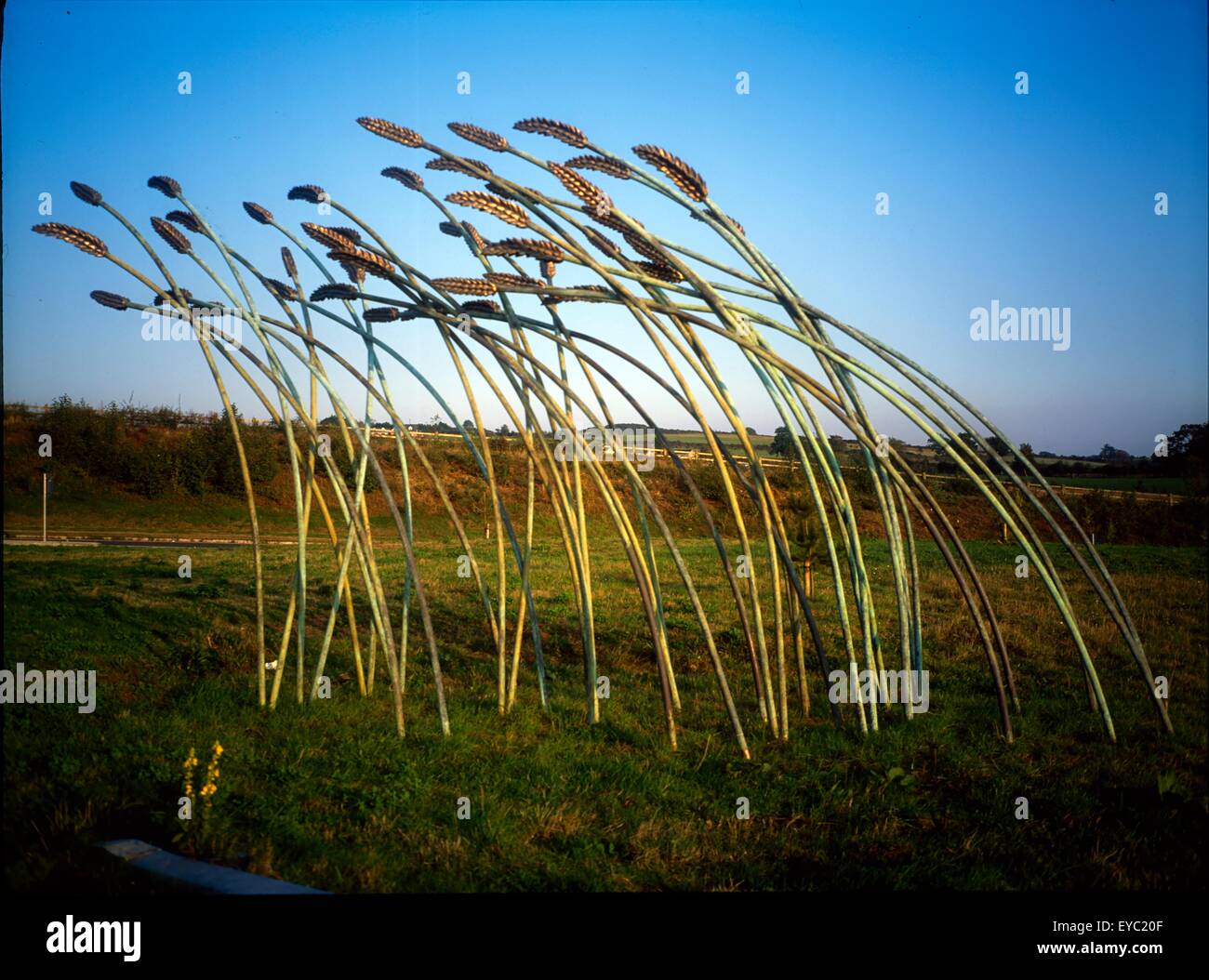 Kilmacthomas, Co Waterford, Ireland; Golden Harvest By Colm Brennan ...