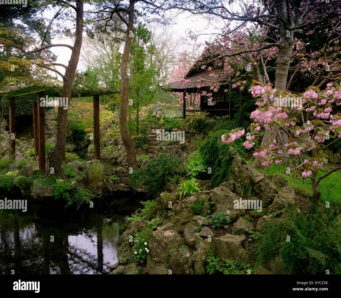 Japanese Gardens Co Kildare Ireland High Resolution Stock Photography ...