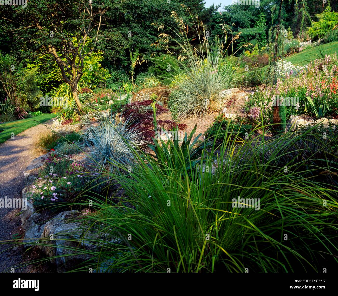 Scree gardens hi-res stock photography and images - Alamy