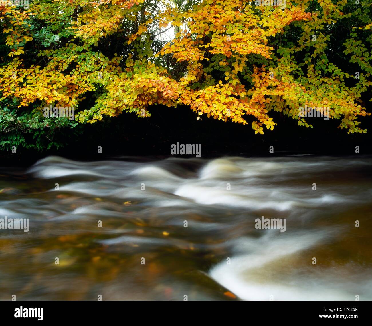 Camcor river hi-res stock photography and images - Alamy
