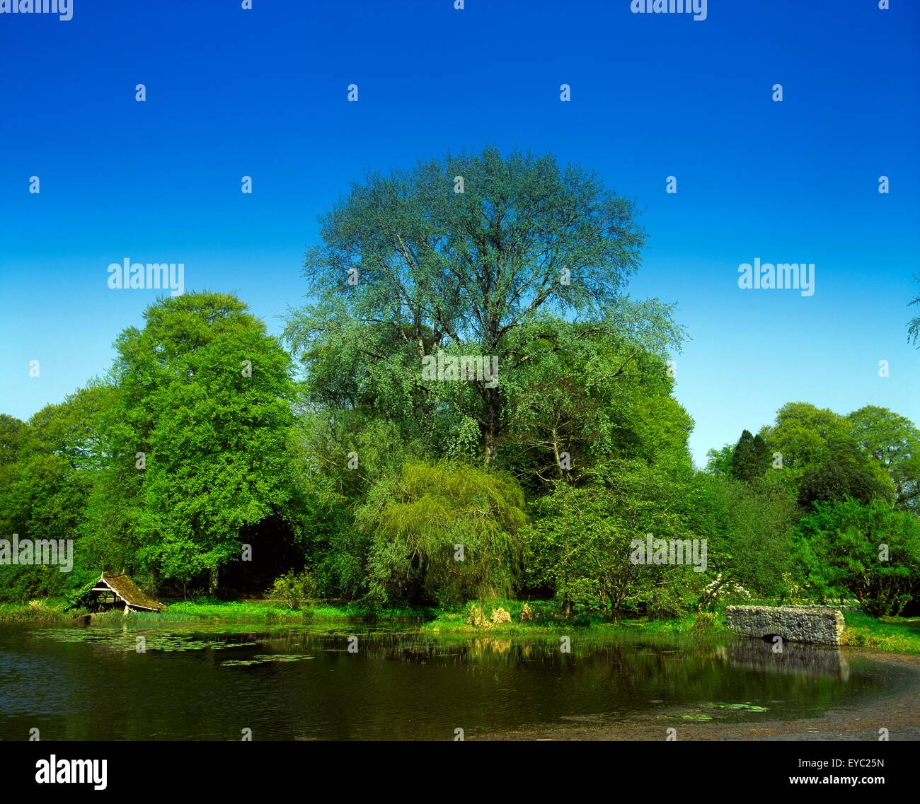 Old boathouse hi-res stock photography and images - Alamy