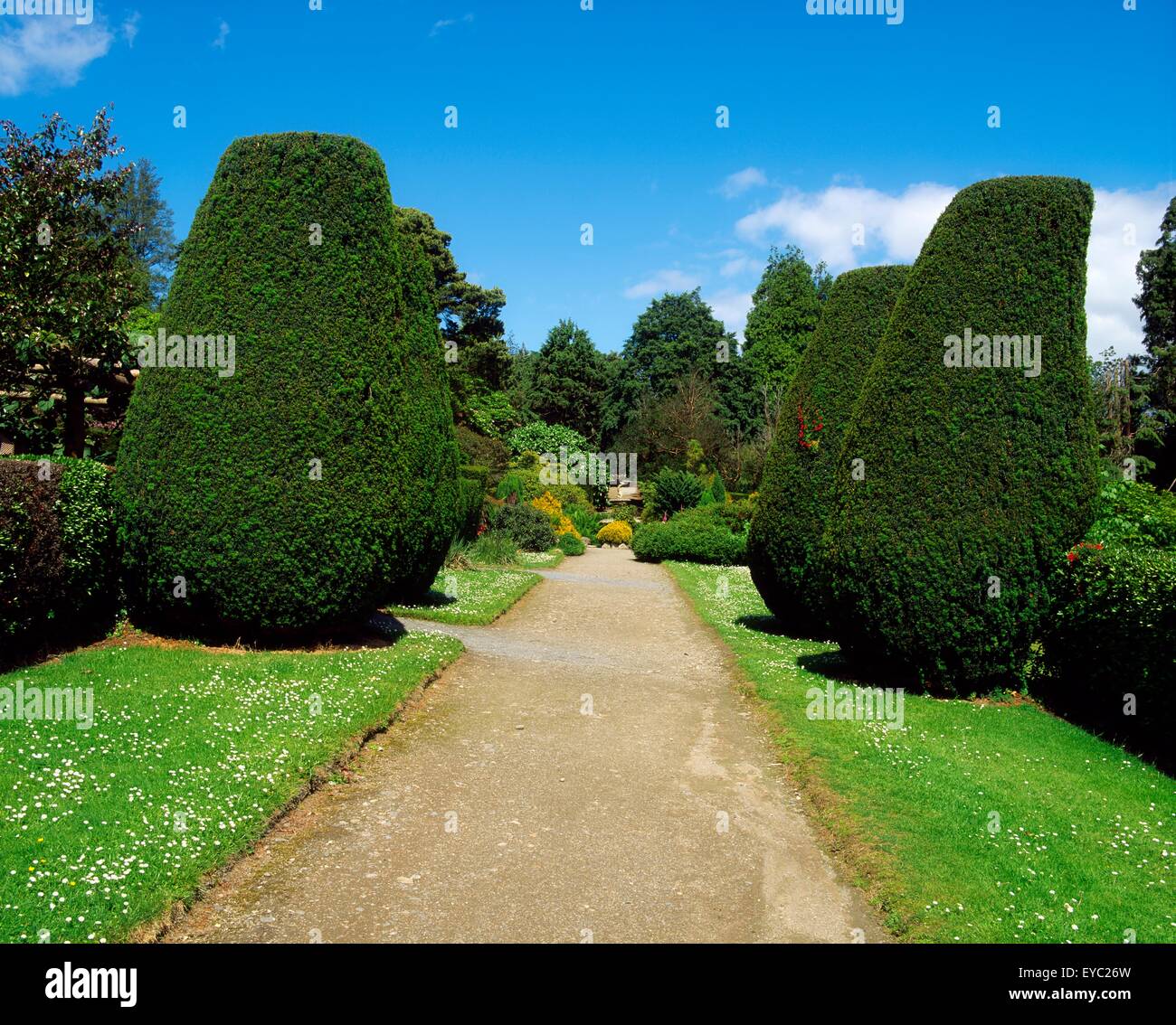 Castlewellan National Arboretum's Walled Garden, Castlewellan, Co Down ...