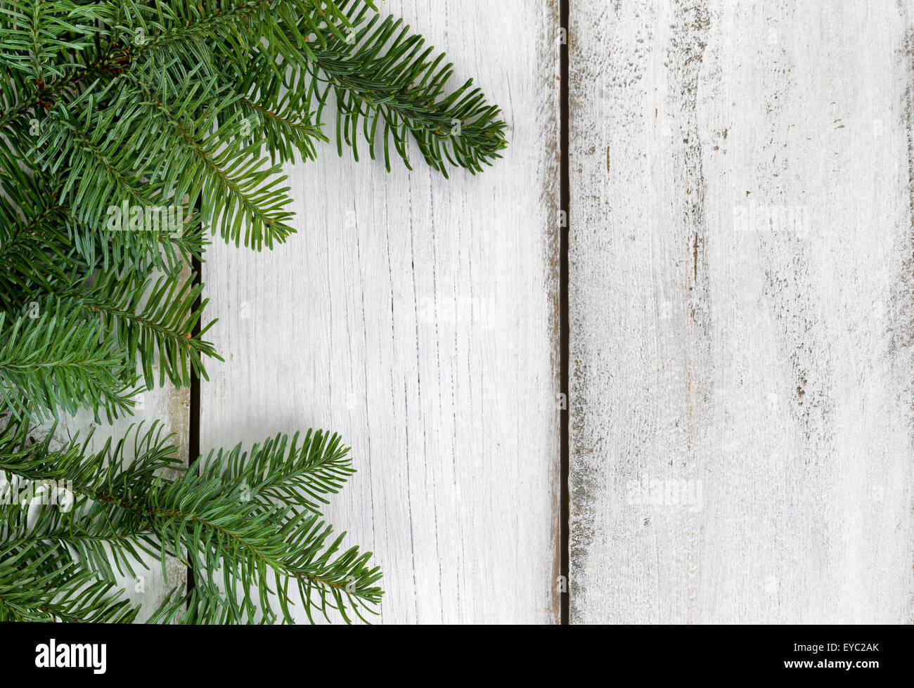 Real Nobel Fir tree branches on rustic white wooden boards. Christmas ...