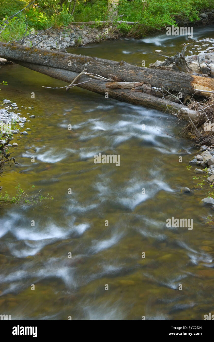Pendleton oregon umatilla river hi-res stock photography and images - Alamy