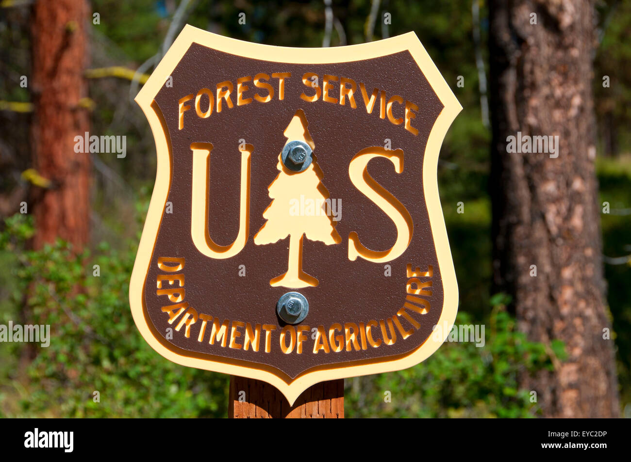 Forest service logo hi-res stock photography and images - Alamy