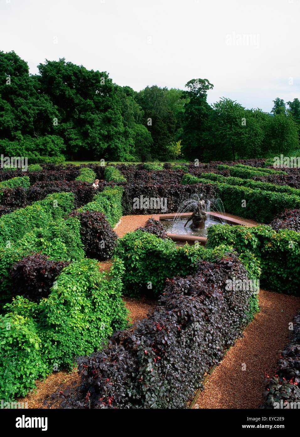 Scone palace maze hi-res stock photography and images - Alamy