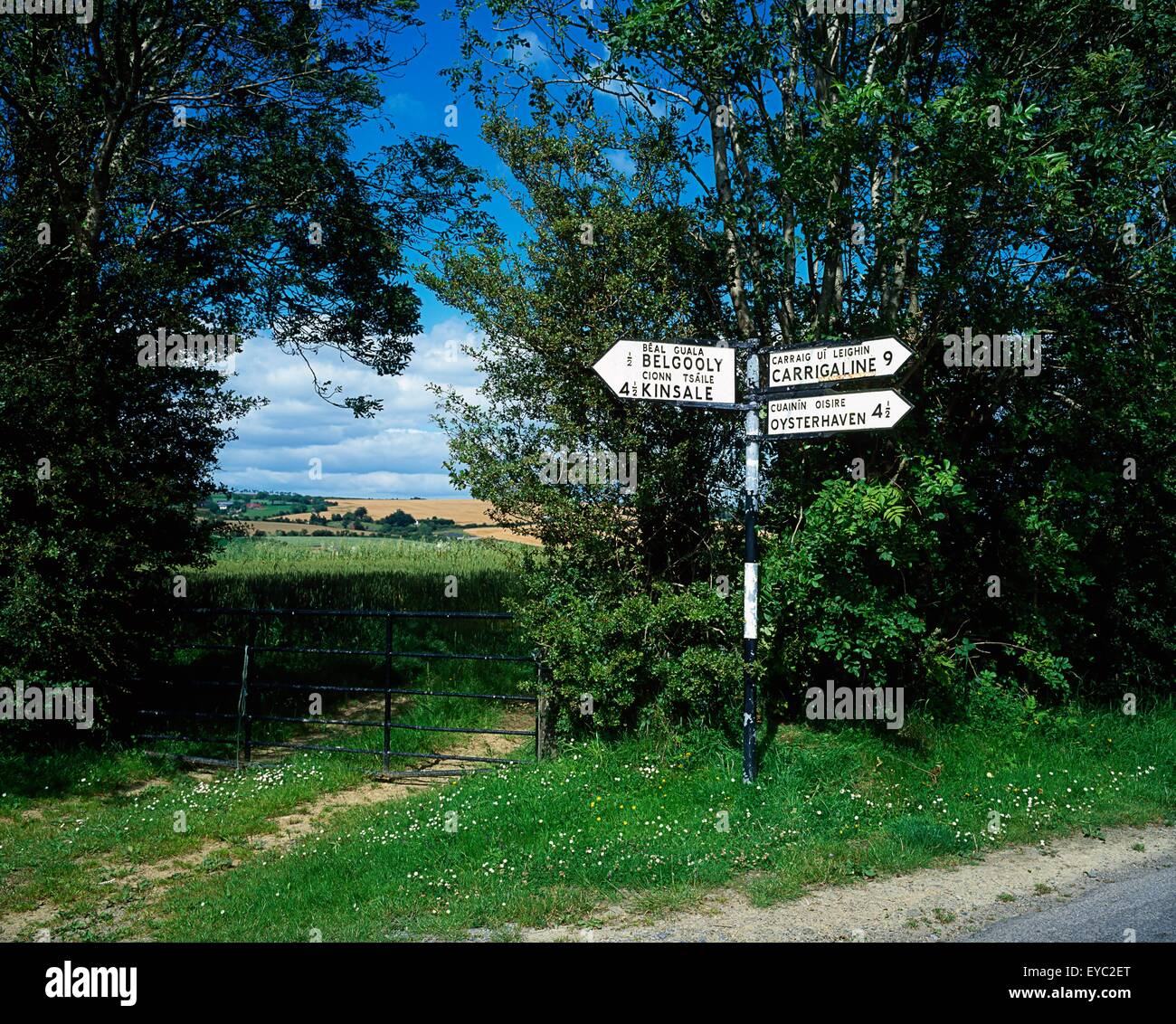 Belgooly, Co Cork, Ireland; Signpost Stock Photo - Alamy