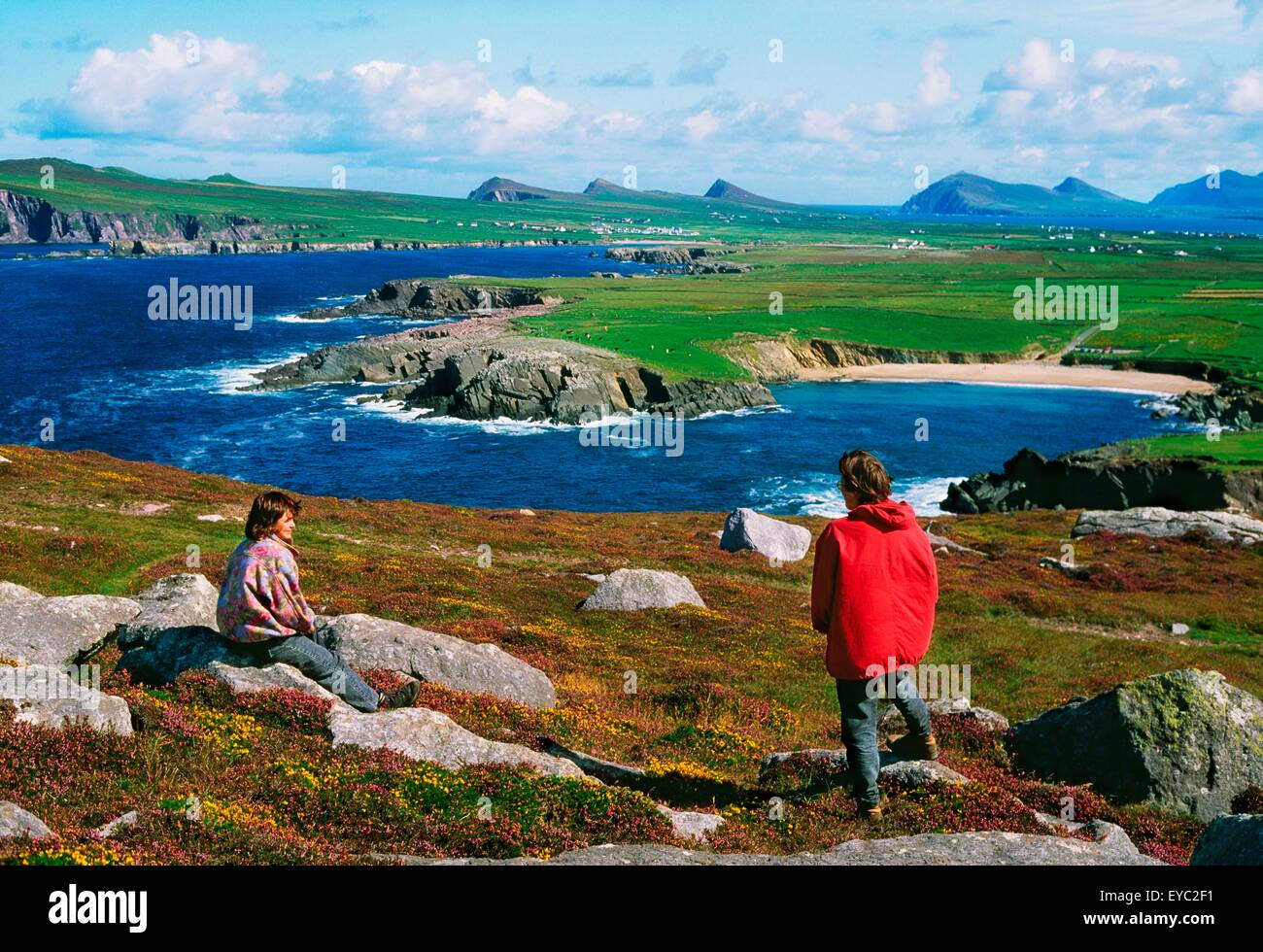 Clogherhead, Dingle Peninsula, Co Kerry, Ireland Stock Photo - Alamy