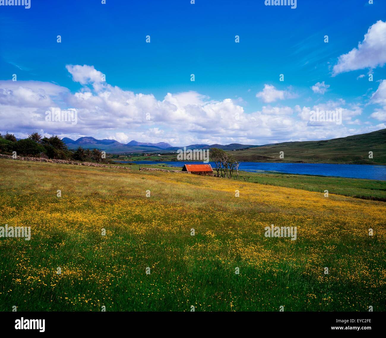 Cleggan, Connemara, Co Galway, Ireland Stock Photo - Alamy
