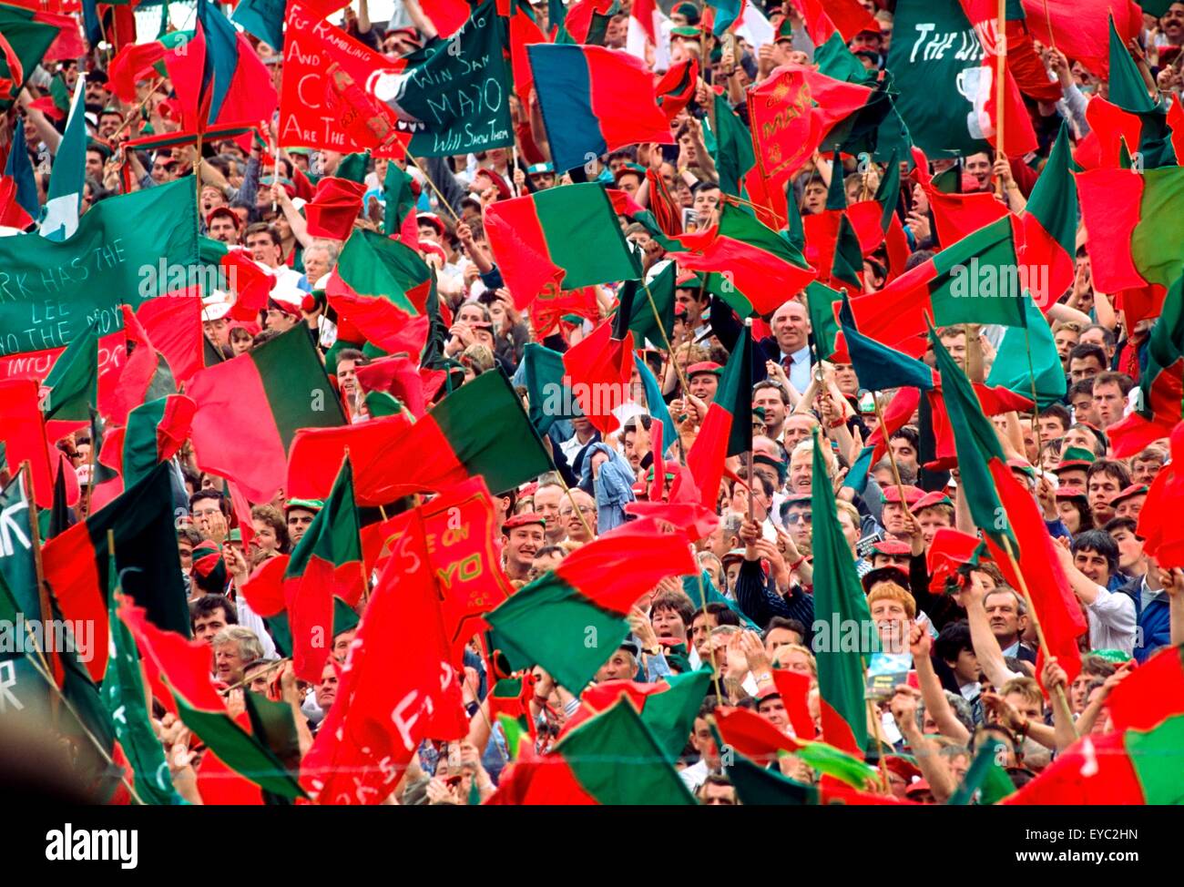 Mayo Vs. Cork Football Match, Ireland; Crowd Cheering Stock Photo - Alamy