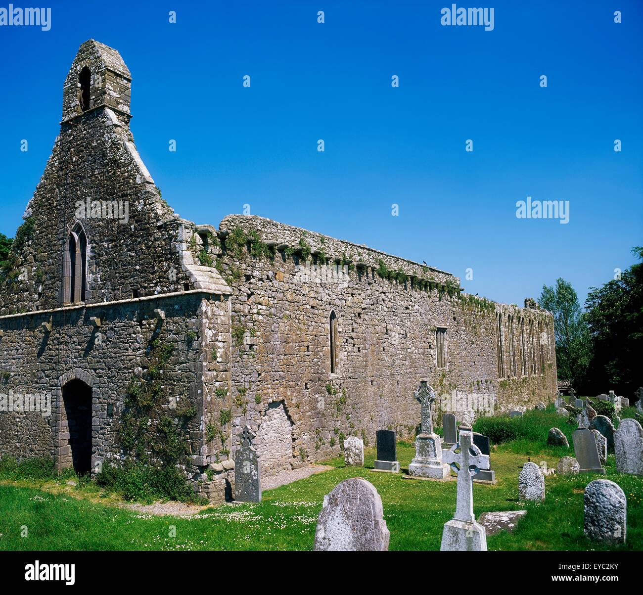 Dominican Friary, Lorrha, Co Tipperary, Ireland, Founded By William De ...