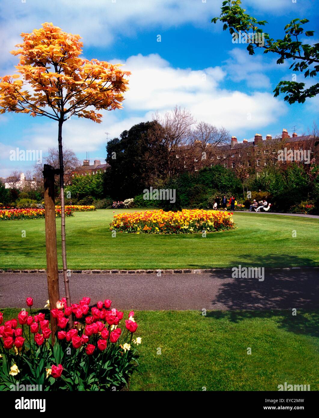 Merrion Square, Dublin, Co Dublin, Ireland; Public Park Stock Photo - Alamy