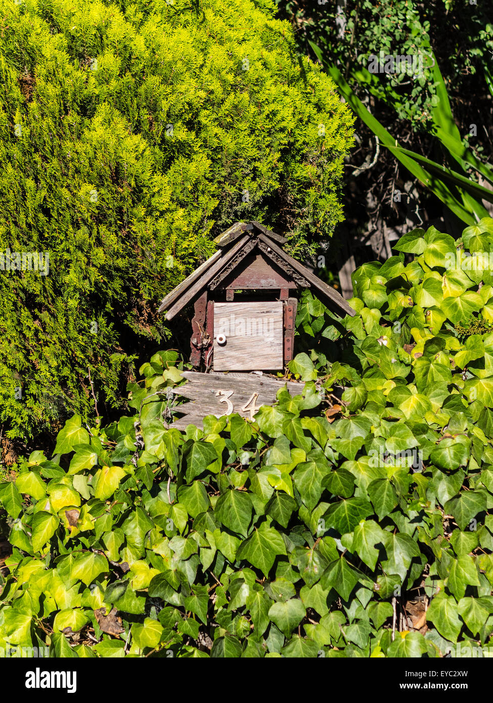 Overgrown mailboxes hi-res stock photography and images - Alamy