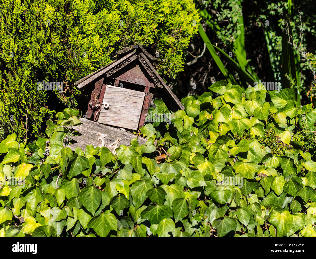 Overgrown mailboxes hi-res stock photography and images - Alamy