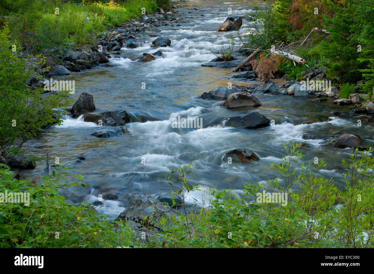 North Fork John Day Wild and Scenic River, North Fork John Day ...