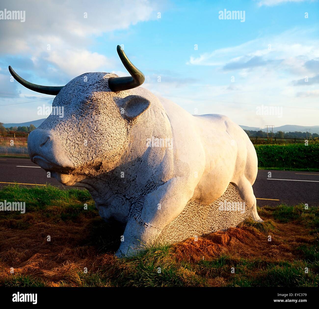 Nenagh, Co Tipperary, Ireland, Sculpture Of A Bull Stock Photo - Alamy