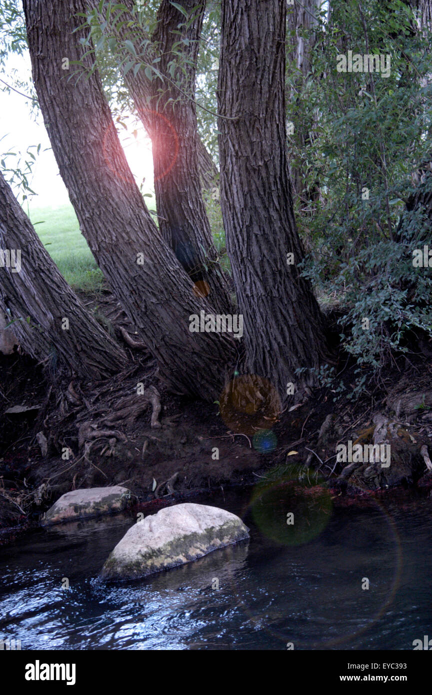 Stream & Morning Sun Stock Photo - Alamy