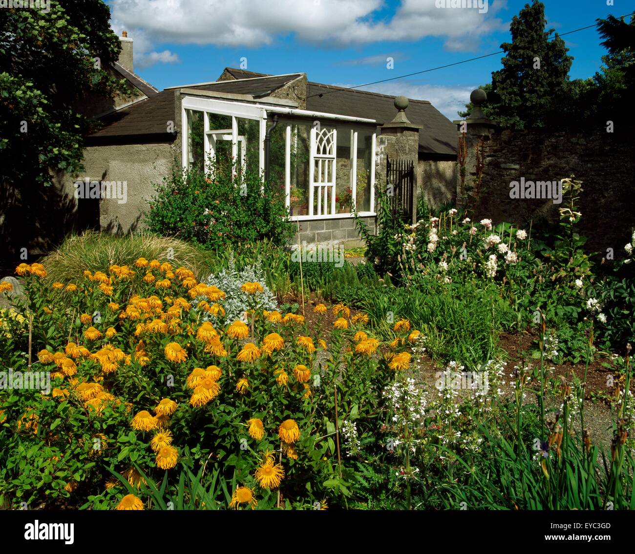 Herbaceous borders hi-res stock photography and images - Alamy