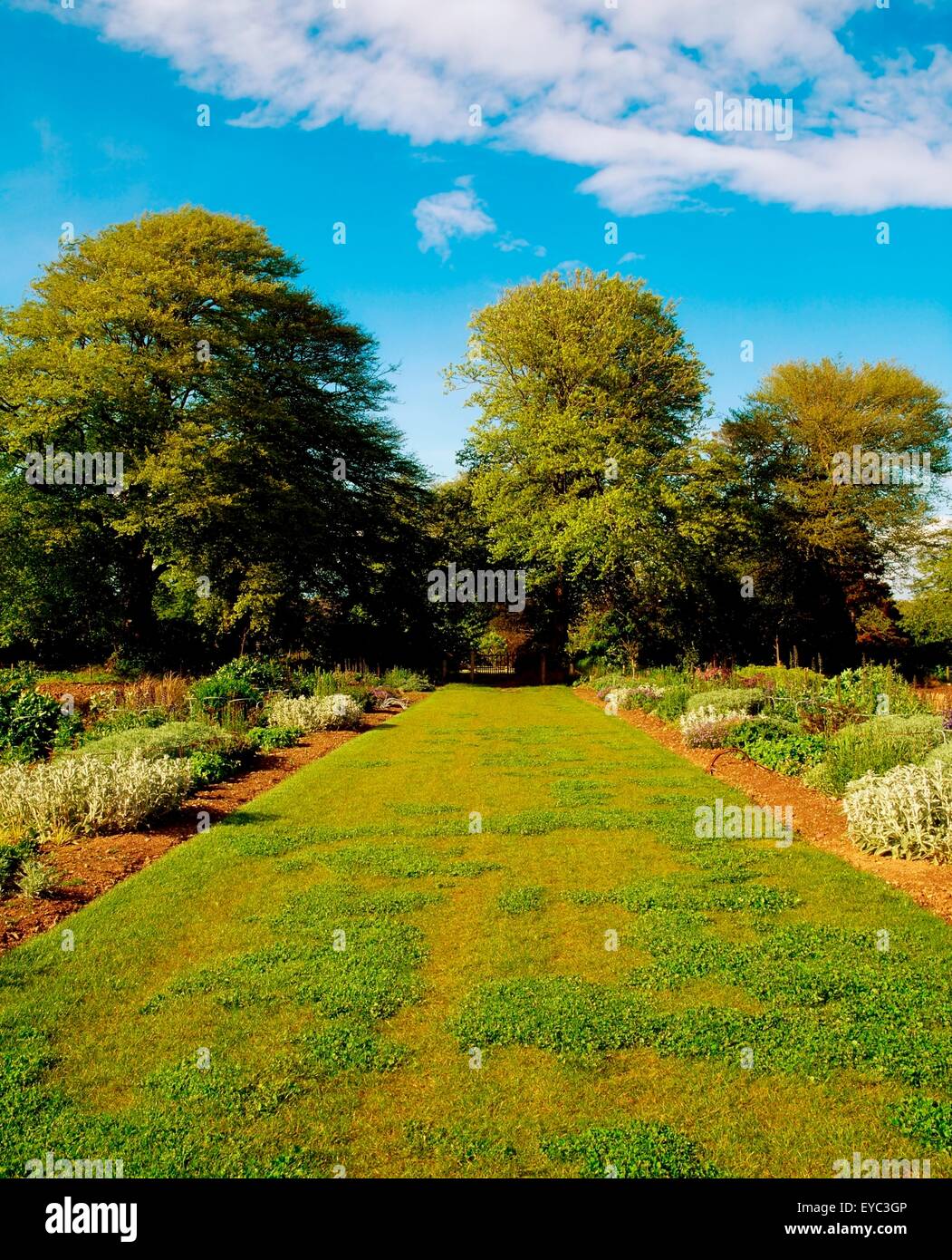 Pathway to the shell house hi-res stock photography and images - Alamy