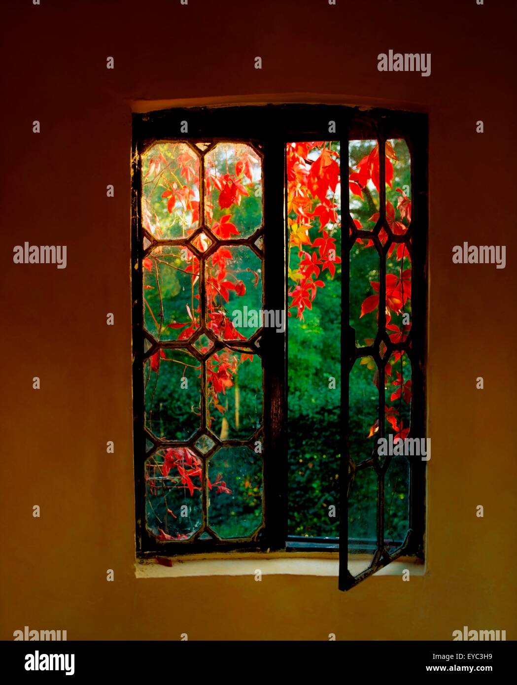 Butterstream Gardens, Co Meath, Ireland; Window With A View To A Garden ...