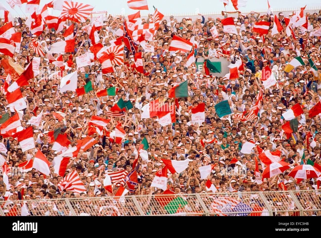 Gaelic Football Fans; Crowd Of Fans Waving Flags Stock Photo - Alamy