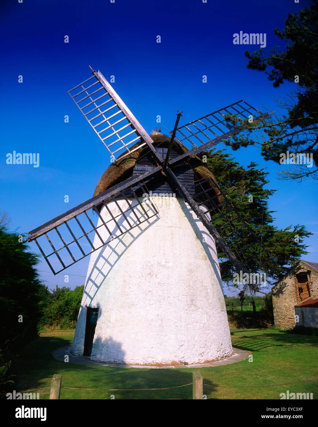 1846 ireland hi-res stock photography and images - Alamy