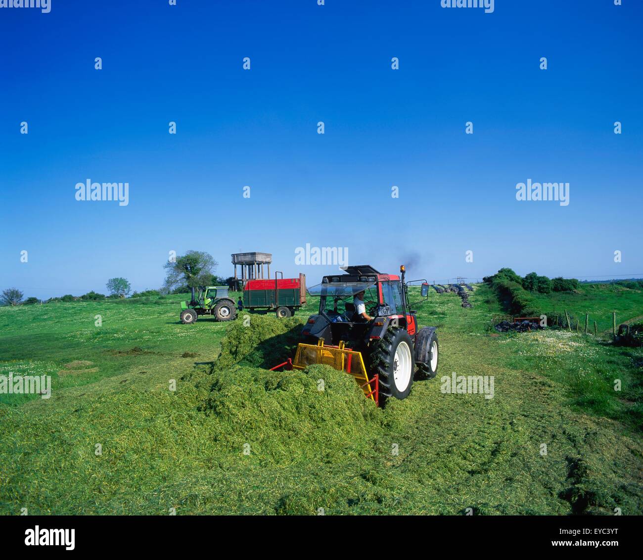 Farmers Using Tractors To Make Silage; Farming Stock Photo - Alamy