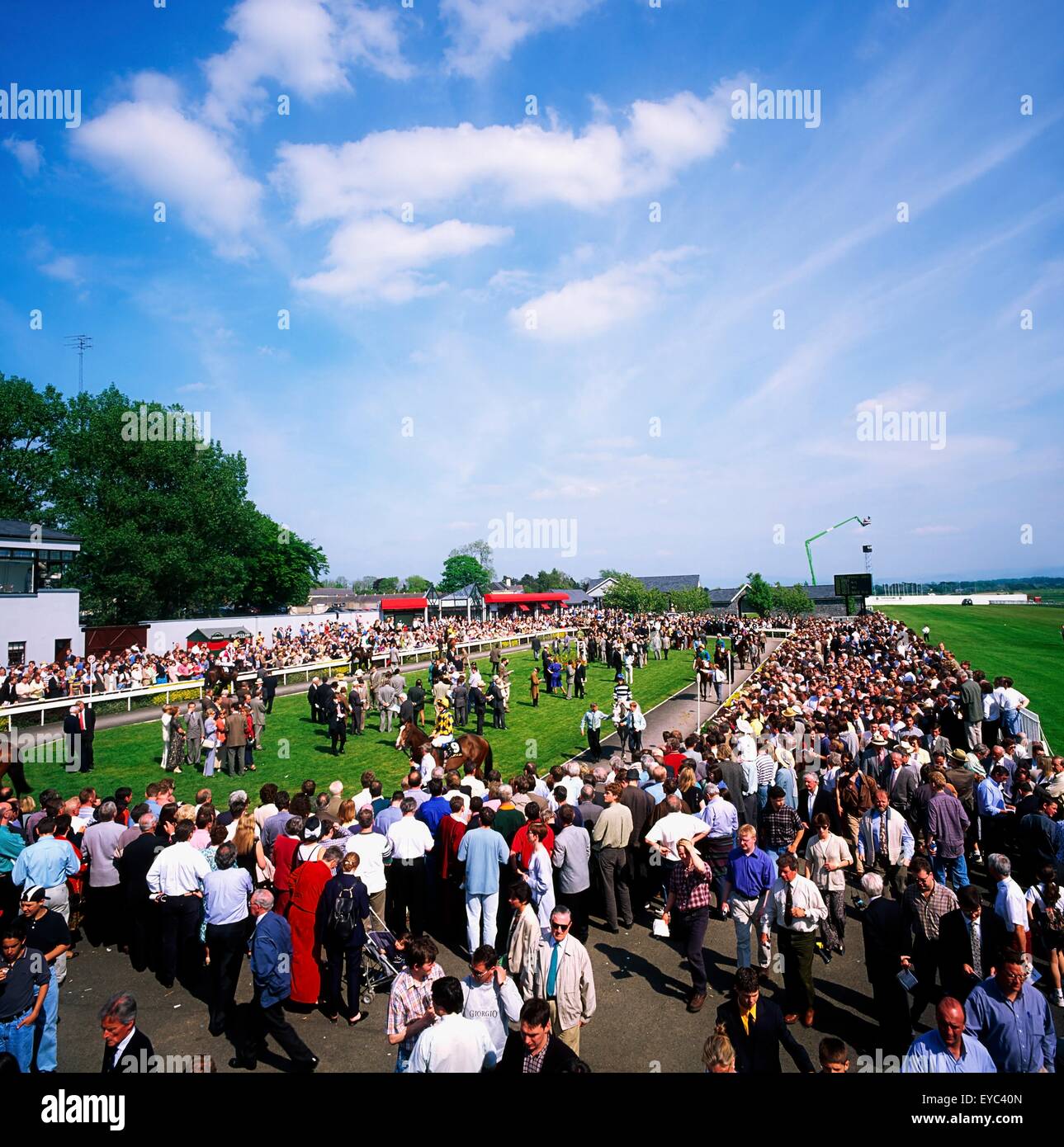 The Curragh, Co Kildare, Ireland, The Curragh Racecourse, Horse Racing ...